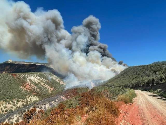 PHOTOS: Spring Creek Fire continues to burn in Parachute ...